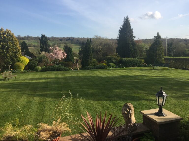 Tree Preservation Order Sheffield and Its Importance